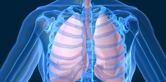 Ceará realiza primeiro transplante pulmonar bilateral do N/NE - Governo ...