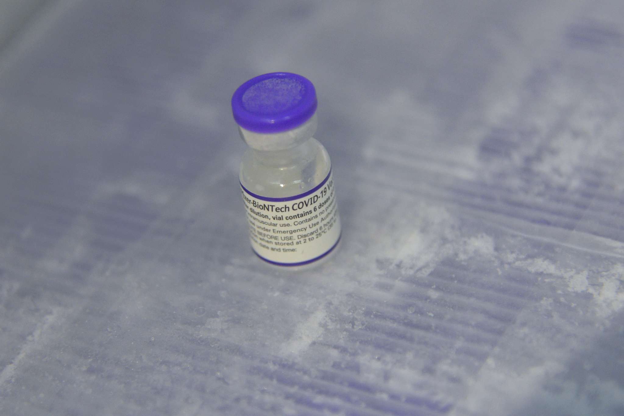 Ceará recebe 167 mil doses de Pfizer neste começo de semana - Governo ...