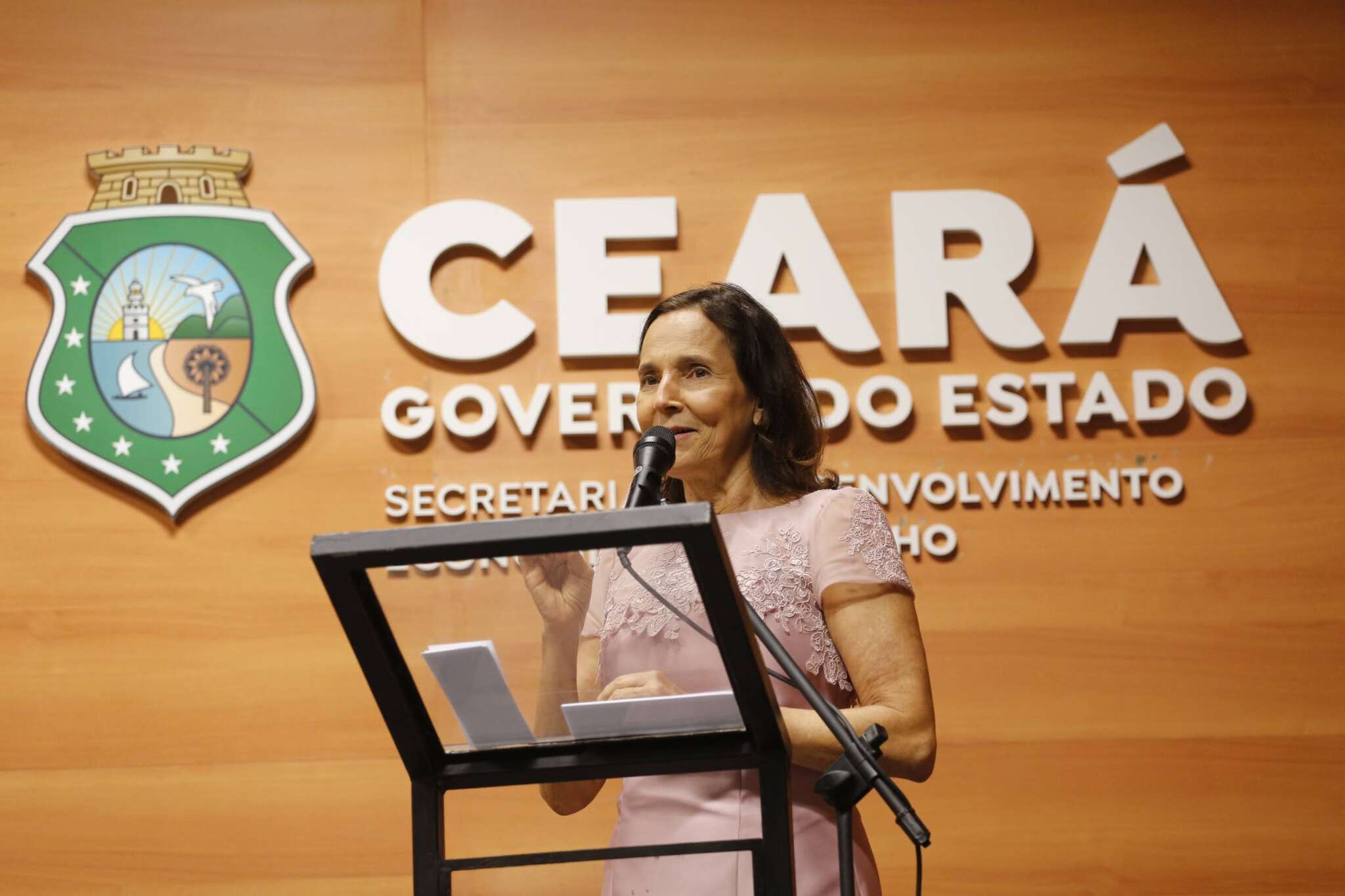 Novo presidente do Complexo Industrial e Portuário do Pecém, Hugo ...