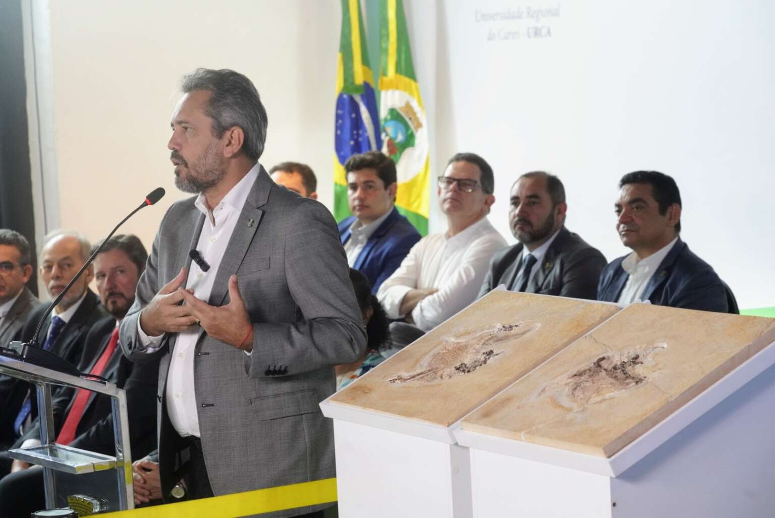 Patrimônio dos cearenses, fóssil Ubirajara jubatus está de volta ...