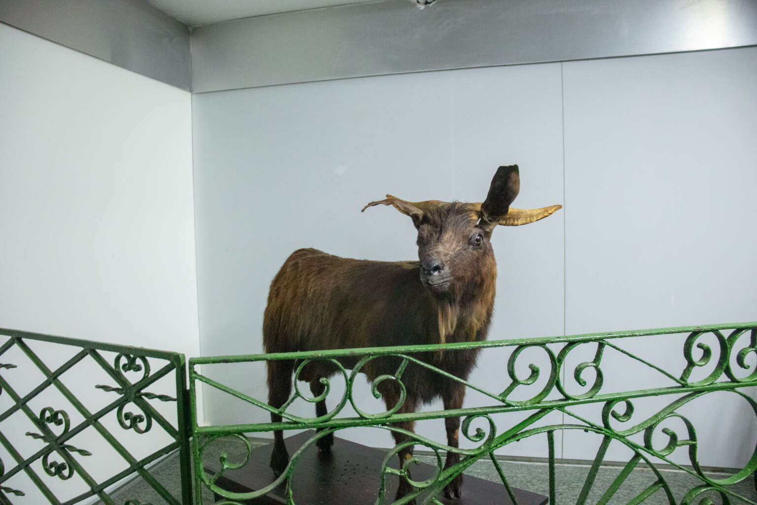 Exposição “Histórias do Museu do Ceará” marca o reencontro do povo com ...