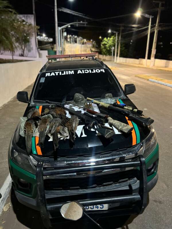 Pmce Captura Trio E Apreende Armas E Aves Ameaçadas De Extinção Em