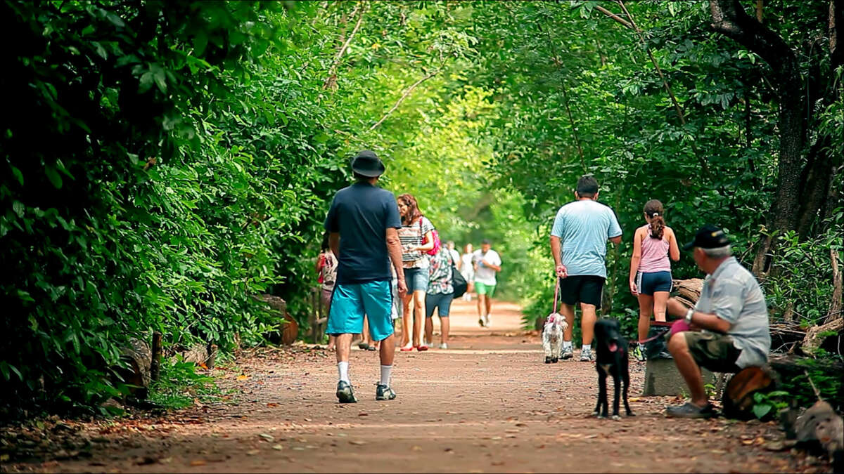 Parque Estadual do Cocó é o mais visitado do Brasil - Governo do Estado ...